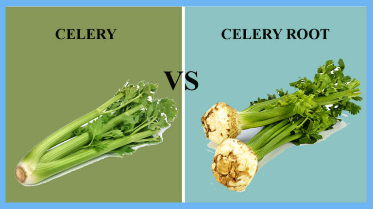 Info & Instructions – The Allie Sunshine Project