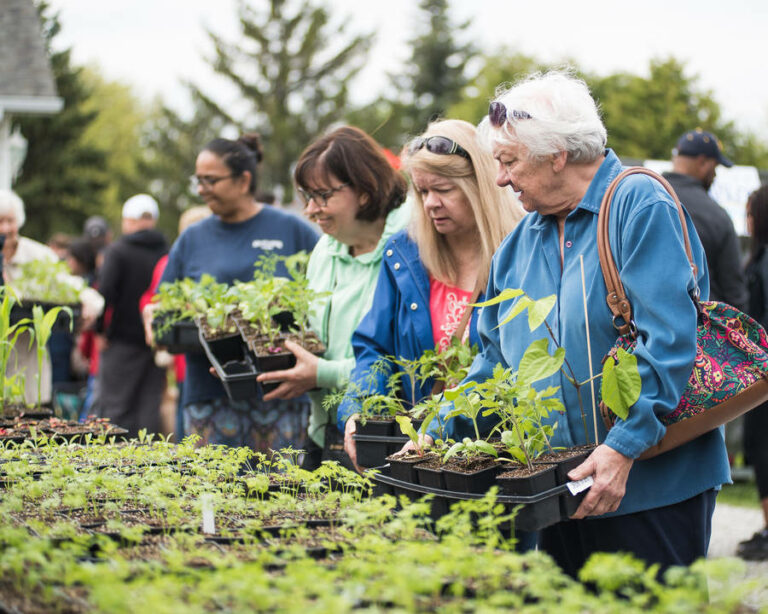 Planting Wellness – The Allie Sunshine Project